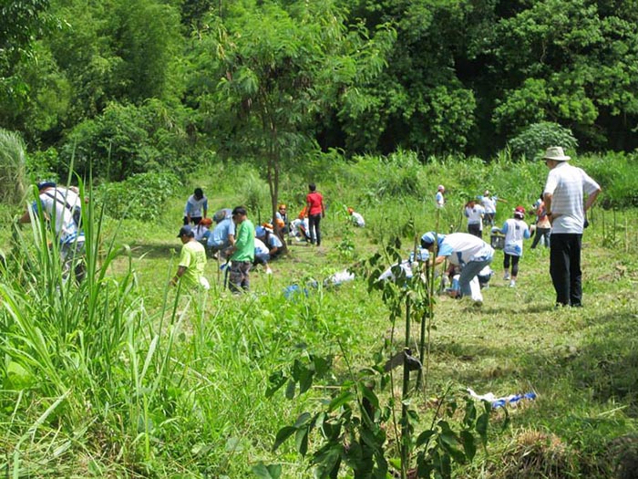 Rizal Provincial Government Official Website