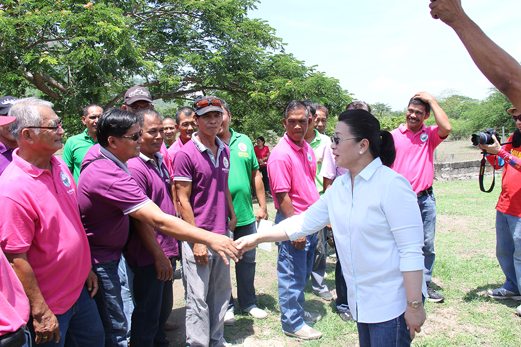 Rizal Provincial Government Official Website