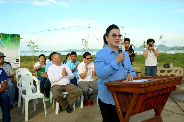 Rizal Provincial Government Official Website