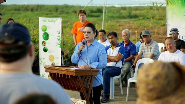 Rizal Provincial Government Official Website