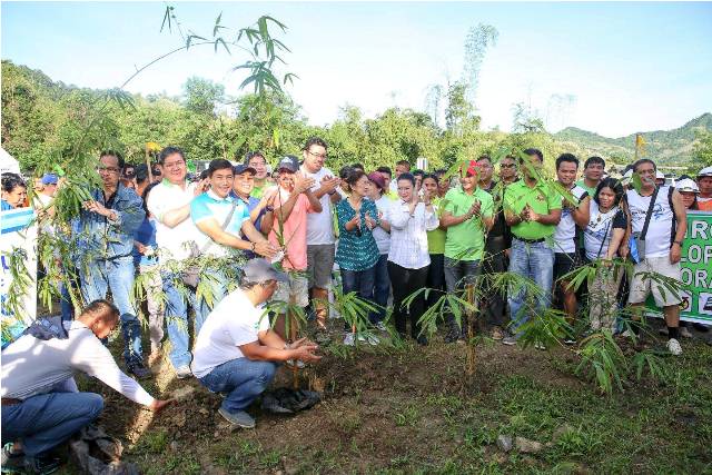 Rizal Provincial Government Official Website