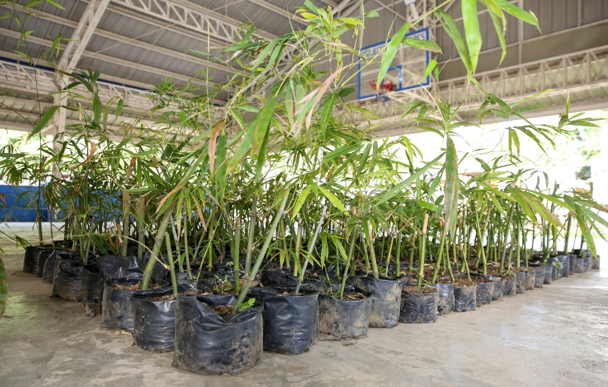 Rizal Provincial Government Official Website