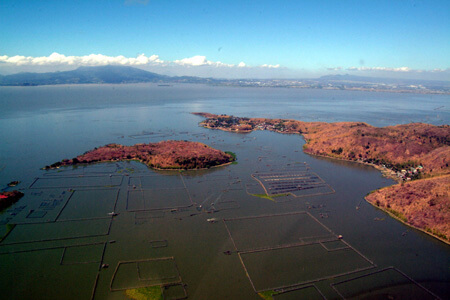 Rizal Provincial Government Official Website