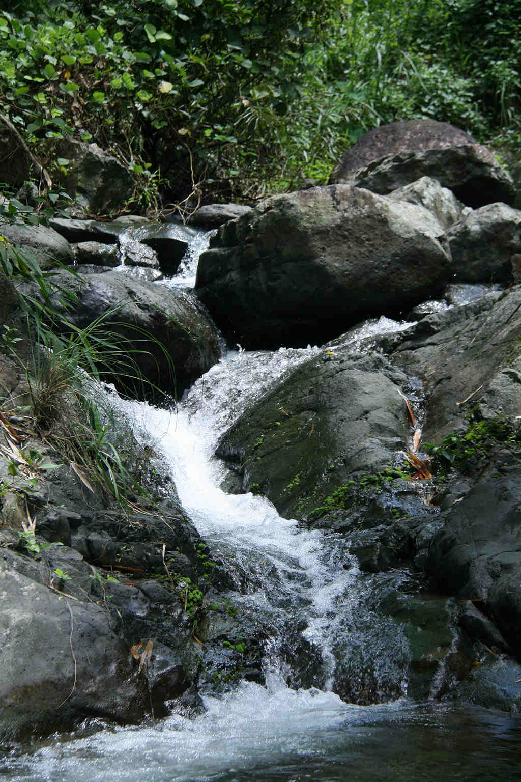 Rizal Provincial Government Official Website