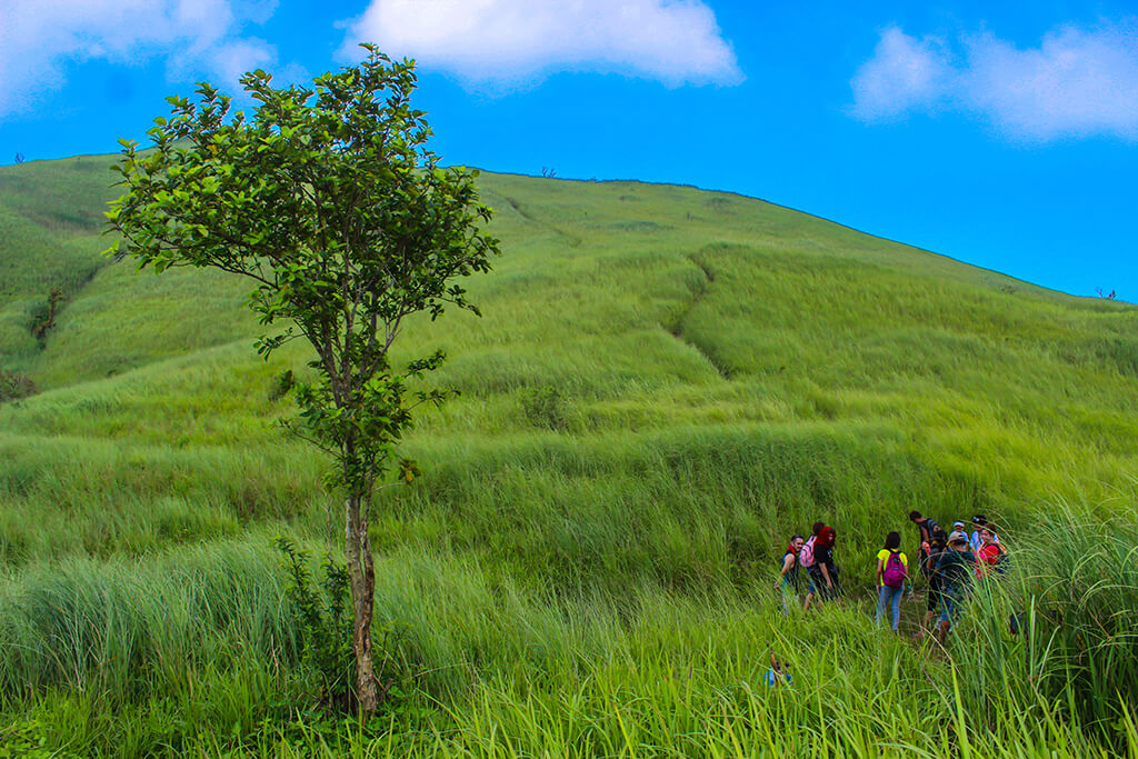 Rizal Provincial Government Official Website