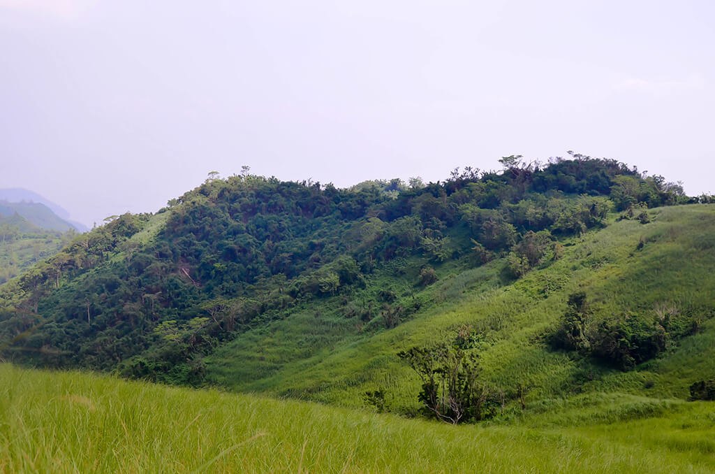 Rizal Provincial Government Official Website