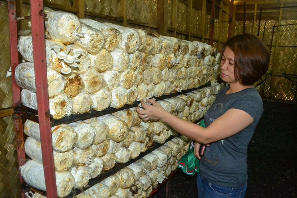 Rizal Provincial Government Official Website