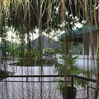 Rizal Provincial Government Official Website