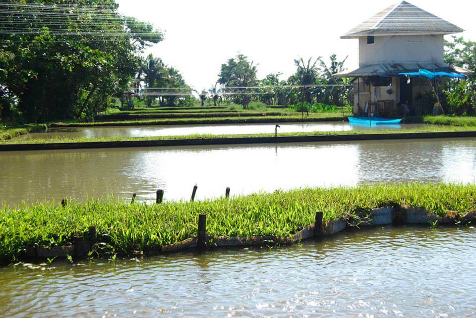 Rizal Provincial Government Official Website