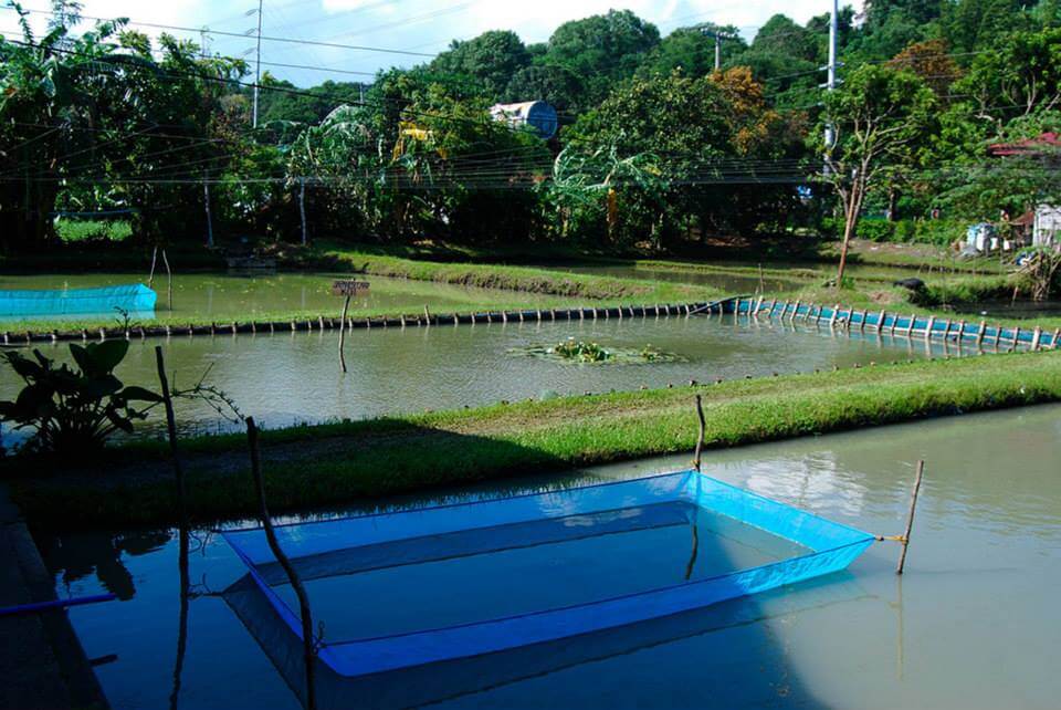 Rizal Provincial Government Official Website