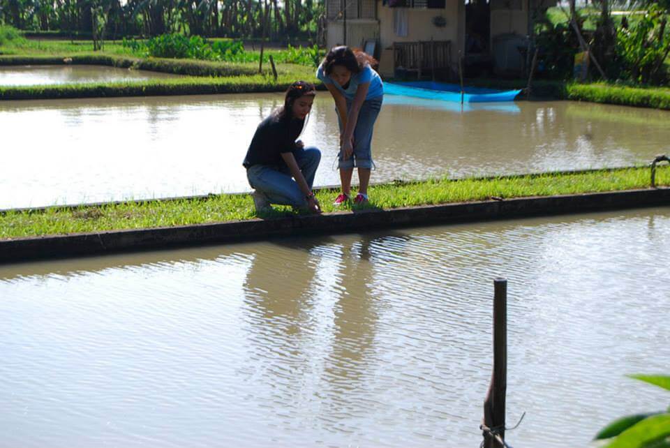 Rizal Provincial Government Official Website