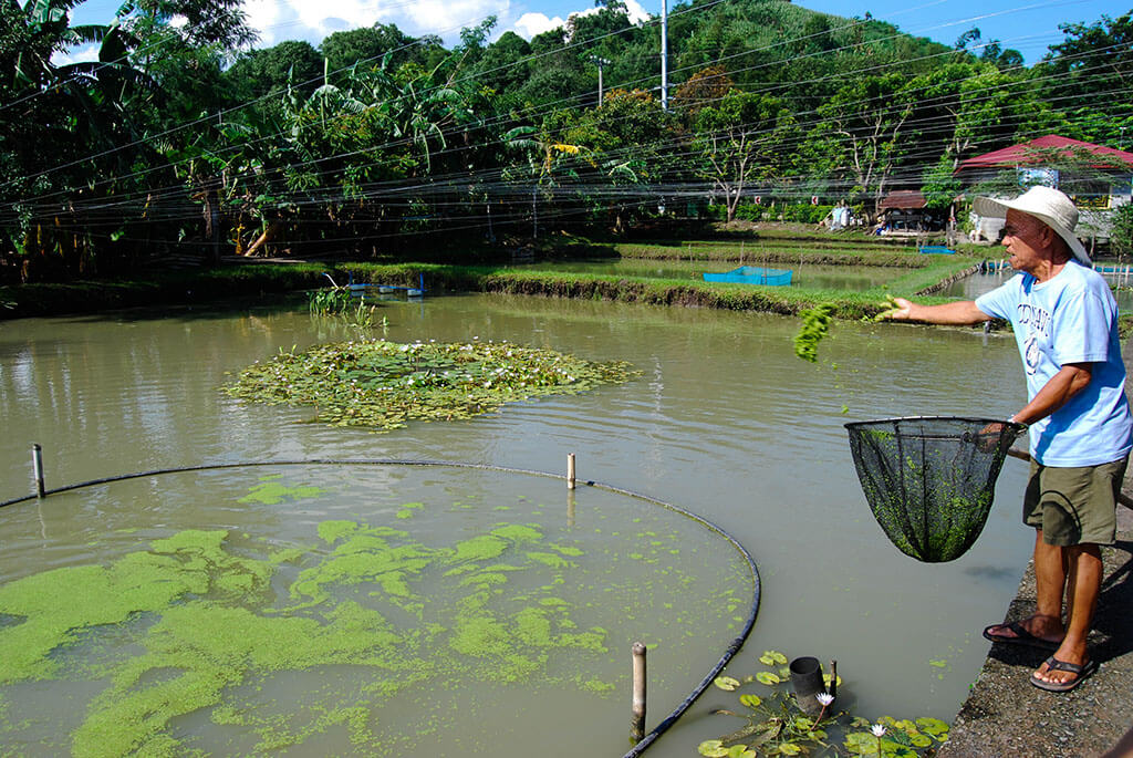 Rizal Provincial Government Official Website