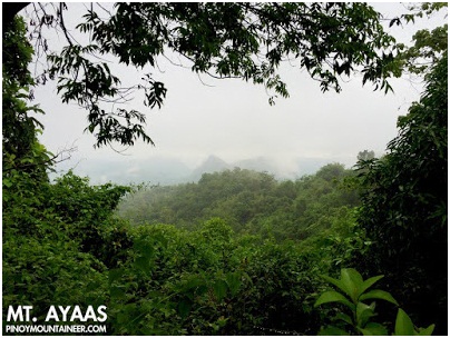 Rizal Provincial Government Official Website