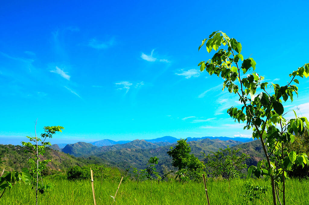 Rizal Provincial Government Official Website