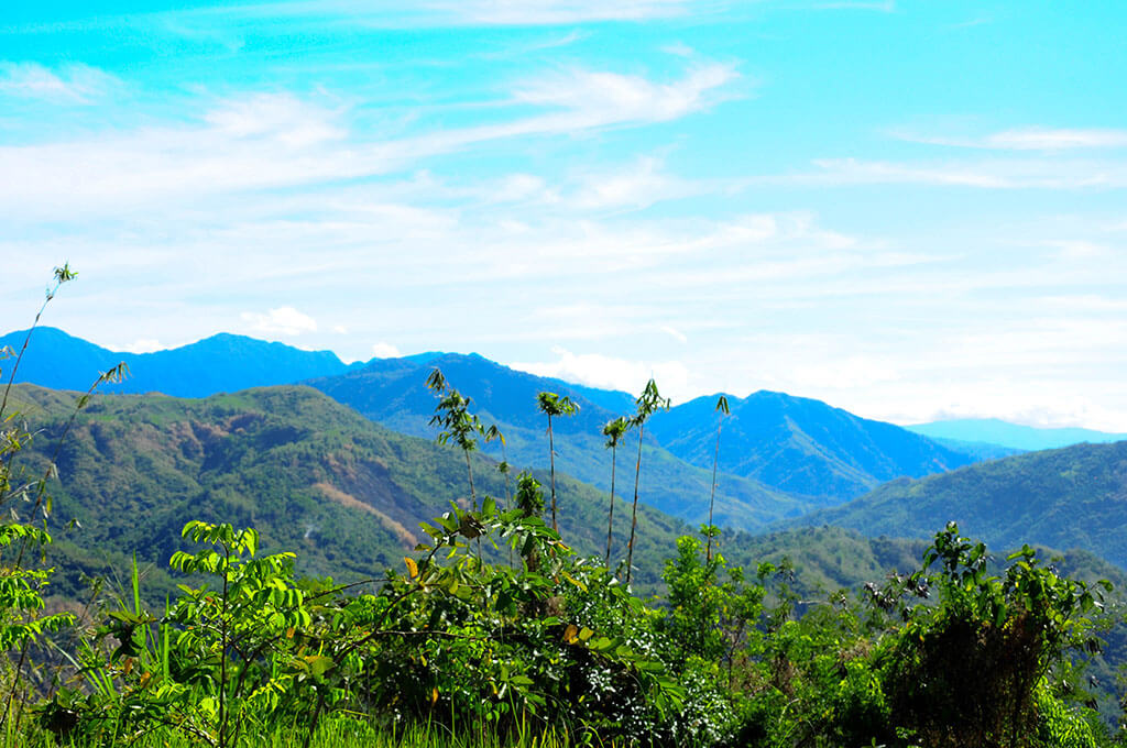 Rizal Provincial Government Official Website