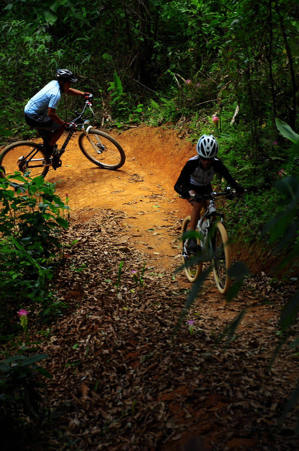 Rizal Provincial Government Official Website