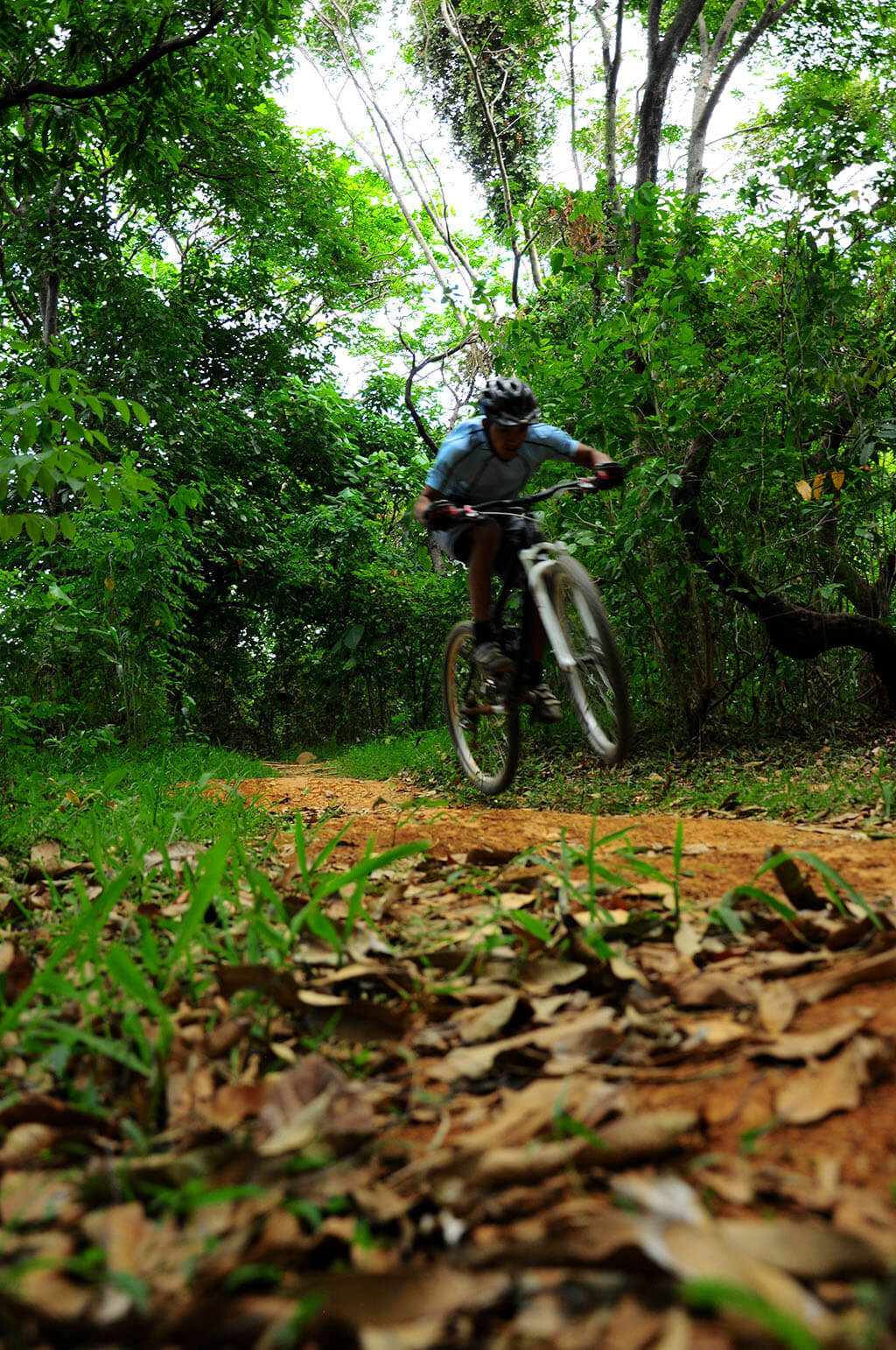 Rizal Provincial Government Official Website