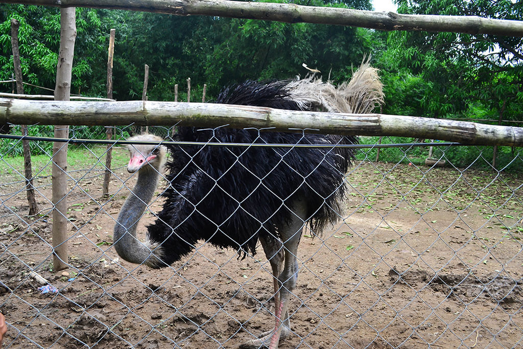 Rizal Provincial Government Official Website