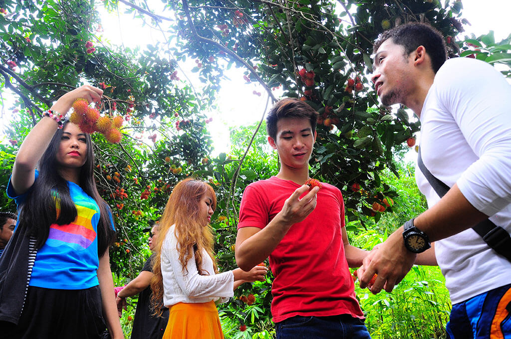 Rizal Provincial Government Official Website