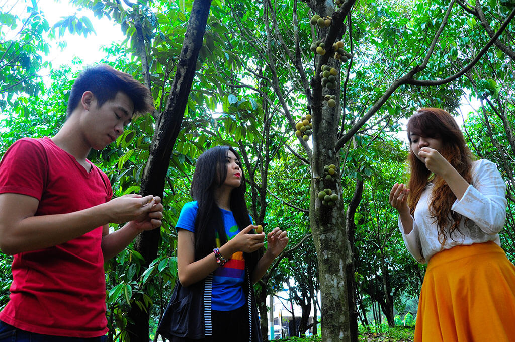 Rizal Provincial Government Official Website